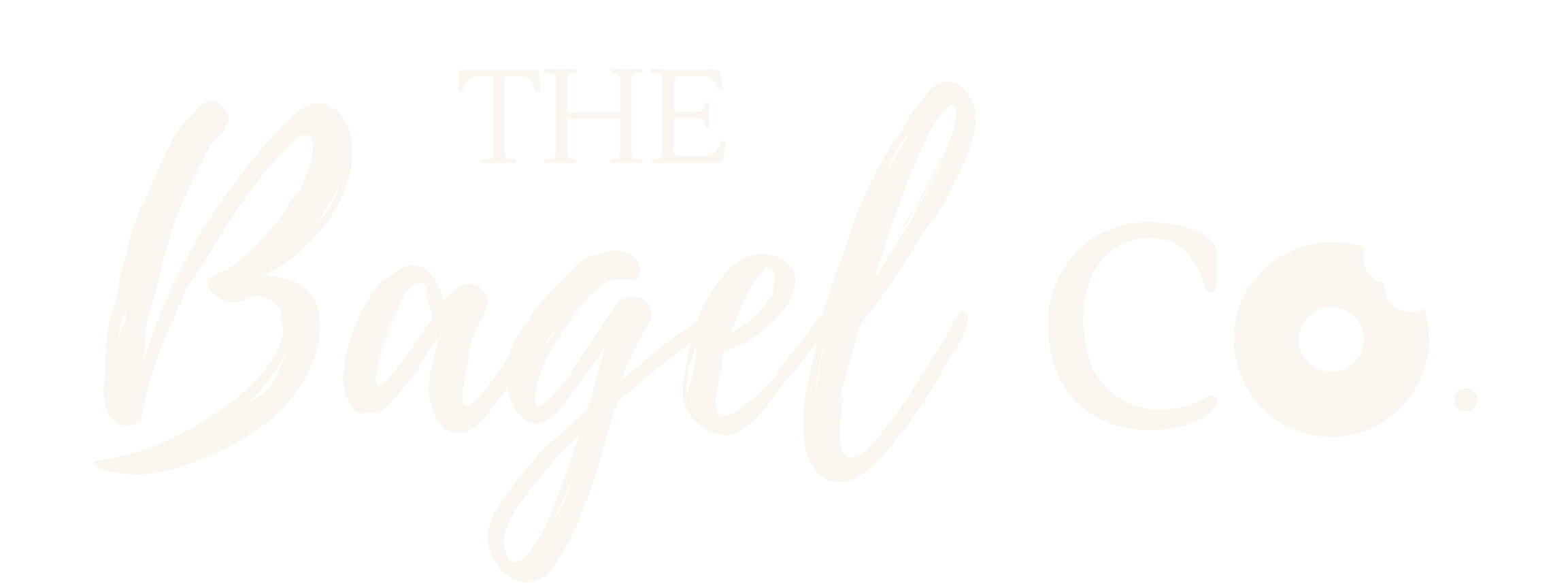 Bagel Company